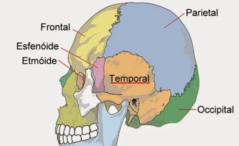 O que é a Craniossinostose ou Cranioestenose? - Blog São Lucas Hospital